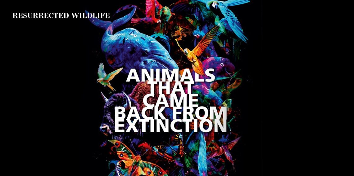 Animals that came back from extinction - Passion Vista Magazine